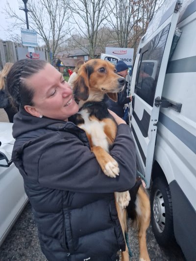 Winnie and Joseph: A Heartwarming Christmas Dog Adoption Story | News ...