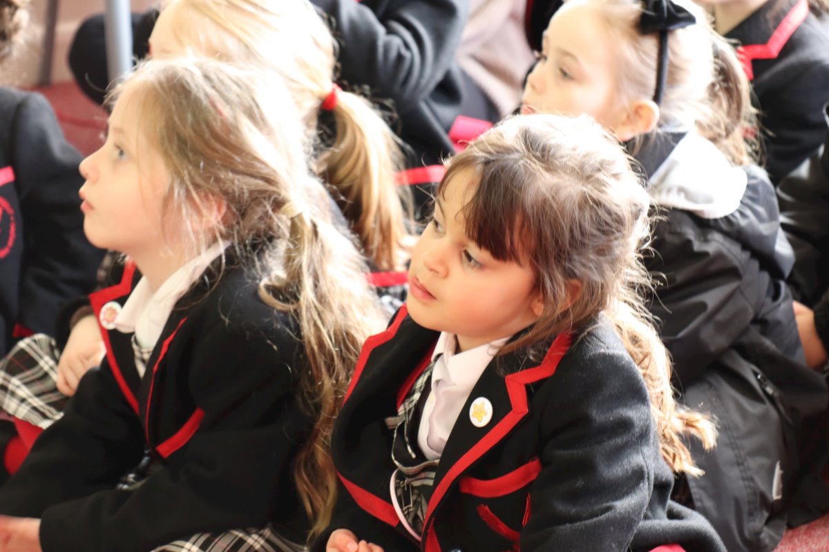 Holroyd Howe Inspires Sustainability at Pipers School: A Lesson in ...